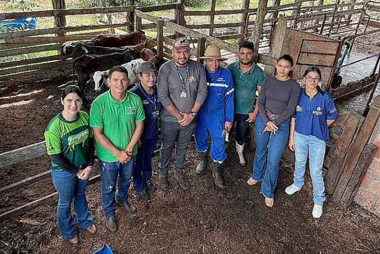 Idam e parceiros acompanham evolução do "Programa Mais Pecuária Brasil ...