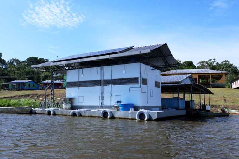 Após 20 anos de estudos, Amazônia ganha liberdade inédita para abater ...